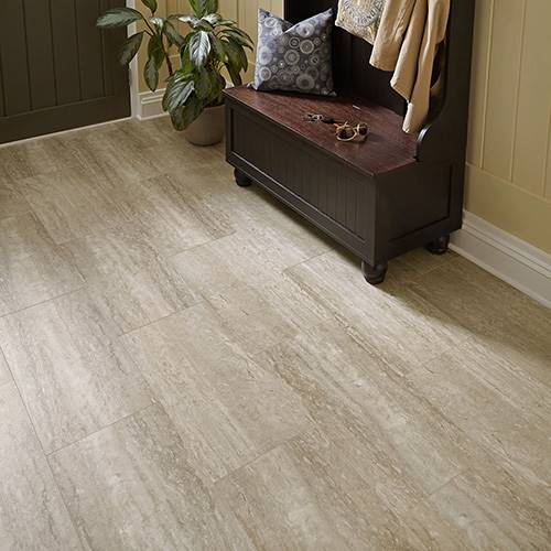 Golden Arowana Transfer Page – Costco Next