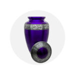 Titan Casket Transfer Page – Costco Next